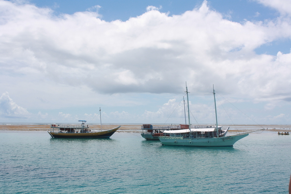 Parque Marinho de Recife de Fora - Arraial d'Ajuda