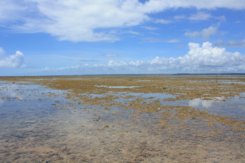 Parque Marinho de Recife de Fora - Arraial d'Ajuda