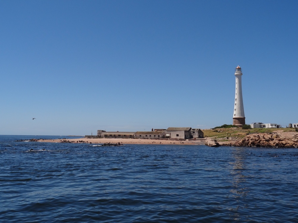 Ilha de Lobos - Punta del Este