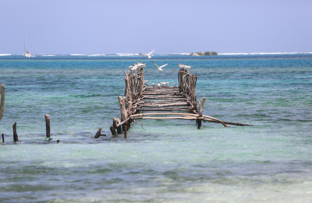 Isla Fragata (Banedub) - San Blas